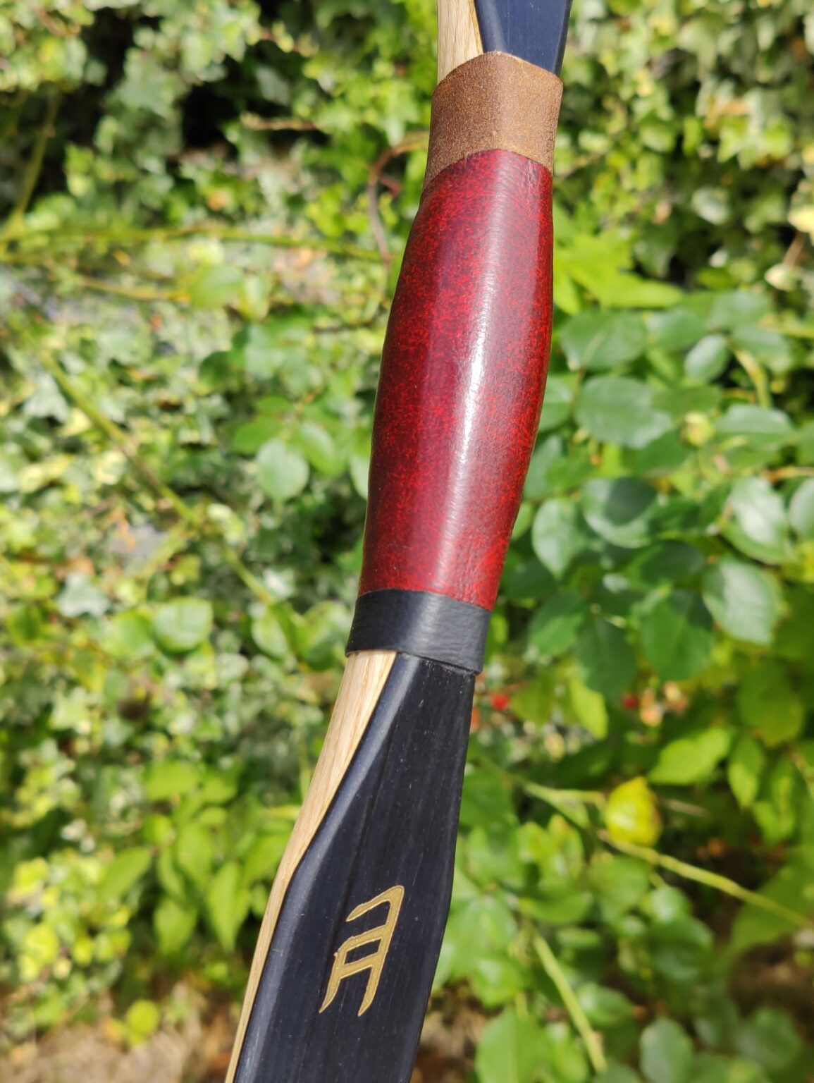 Griffin Bow