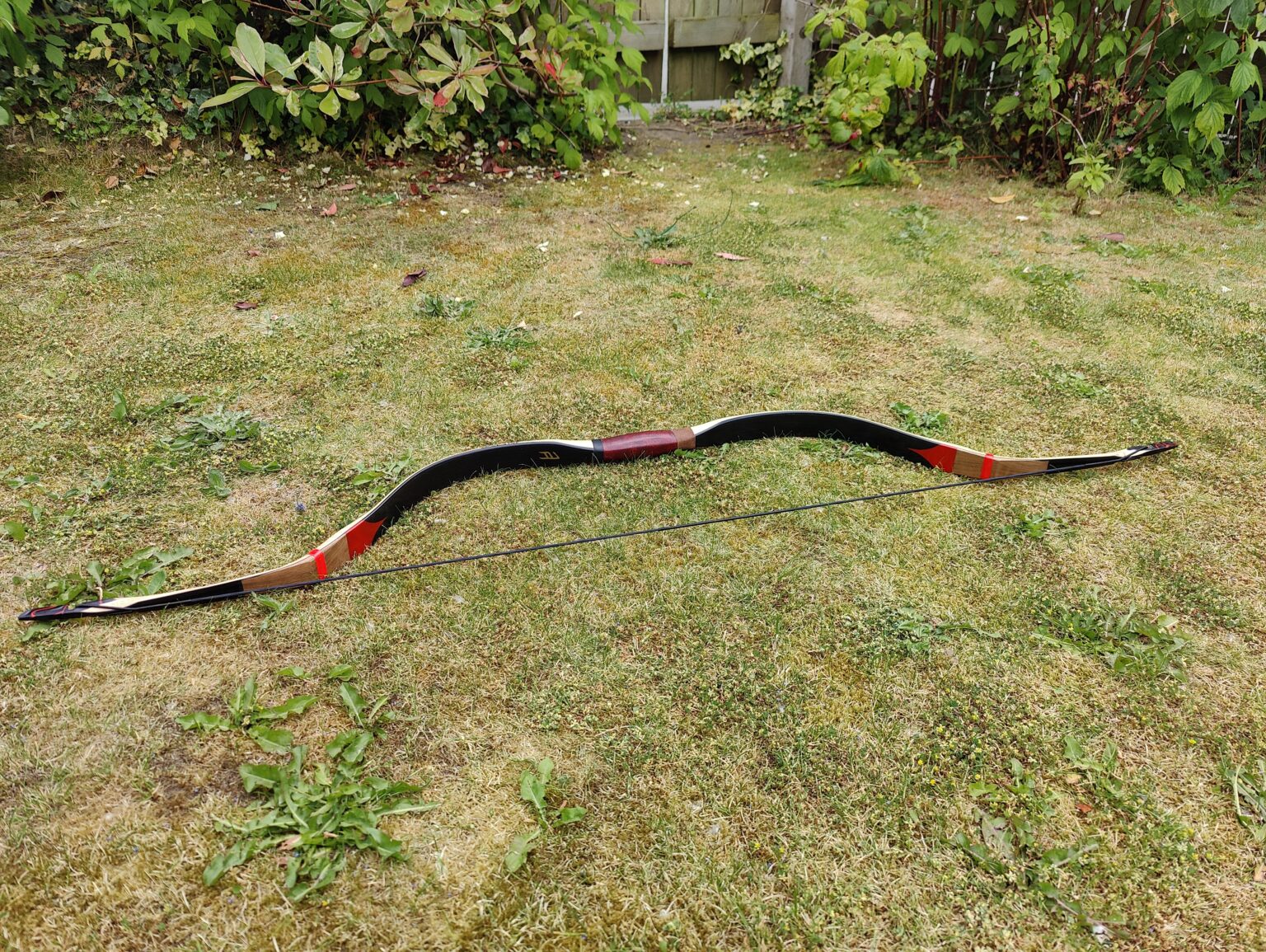 Griffin Bow